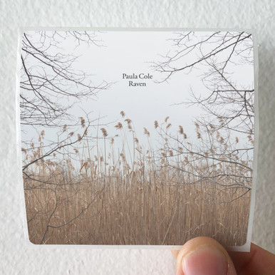 Paula Cole Raven Album Cover Sticker