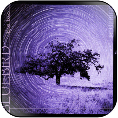 Bluebird The Two-2 Album Cover Sticker Album Cover Sticker