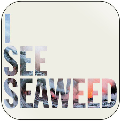 The Drones I See Seaweed Album Cover Sticker