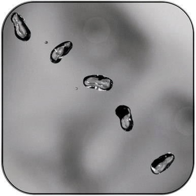 Peter Gabriel Up-1 Album Cover Sticker