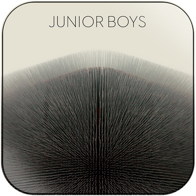 Junior Boys Its All True Album Cover Sticker