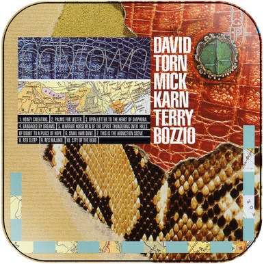 David Torn Polytown Album Cover Sticker