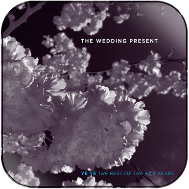 The Wedding Present Ye Ye The Best Of The Rca Years Album Cover Sticker
