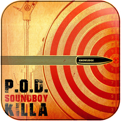 POD Soundboy Kill Album Cover Sticker Album Cover Sticker