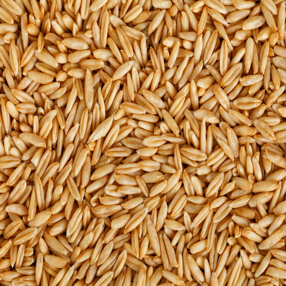 Oat Groats - Gluten Free Oats Store - Glutenfreeoats.com