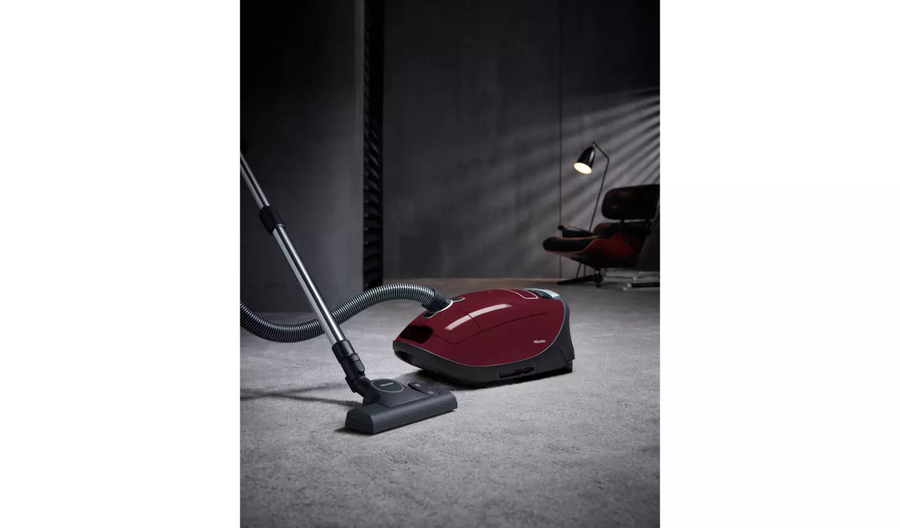 Elegantes Complete C3 Cat Dog Bild
