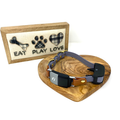 Track & Train All-In-One Dog Collar