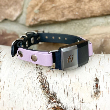 Series 2 Collar for Fi GPS Tracker