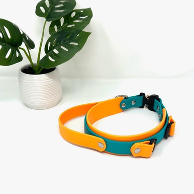 Standard Biothane Collar