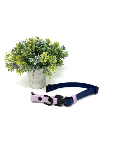 Series 3 Collar for Fi GPS Tracker