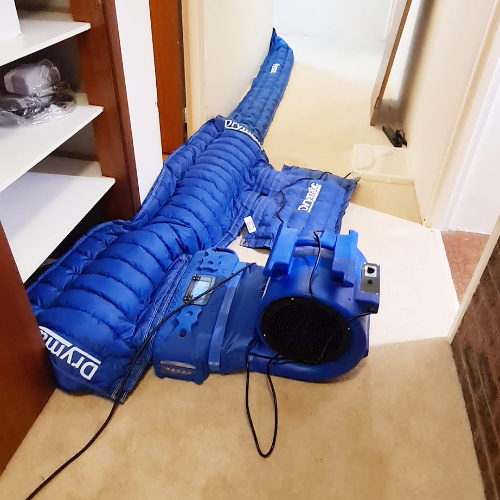 Cover all your bases with the Drymatic II Complete kit - Restore Solutions