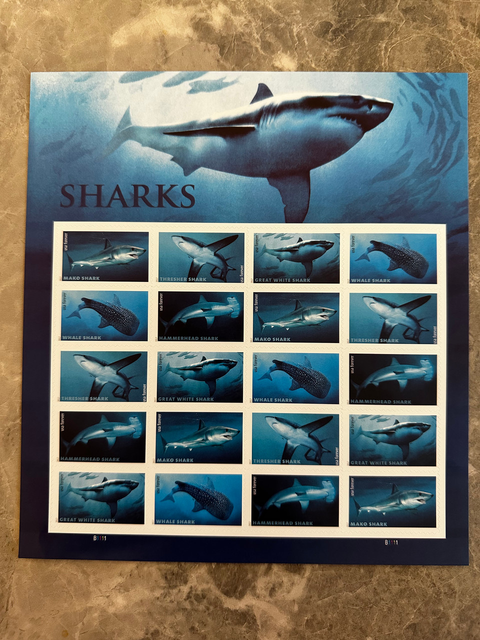 Sharks Ecotourism Conservation Preservation Ecology Nature USPS Love ...