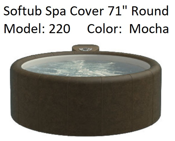 Softub Spa