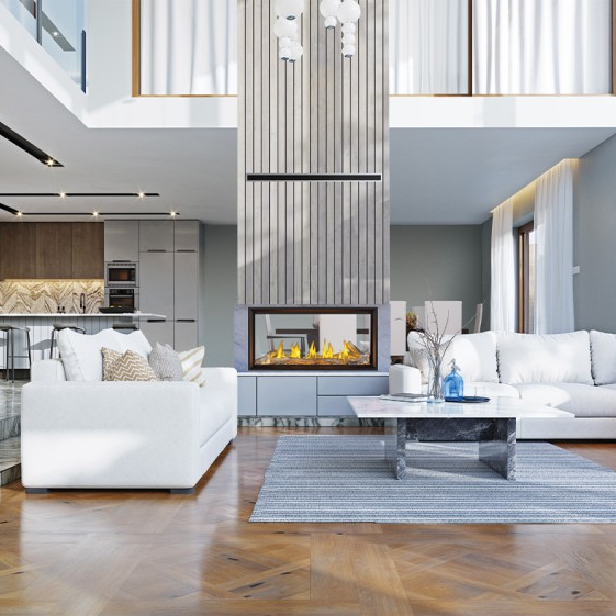 Napoleon Tall Vector with Luminous Logs 62" See Through Direct Vent Gas ...