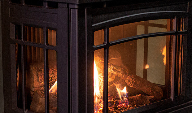 Enviro Westley Gas Freestanding Stove