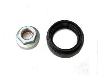 OEM Haldex Pinion Seal and Nut for Freelander 2 - LR076676