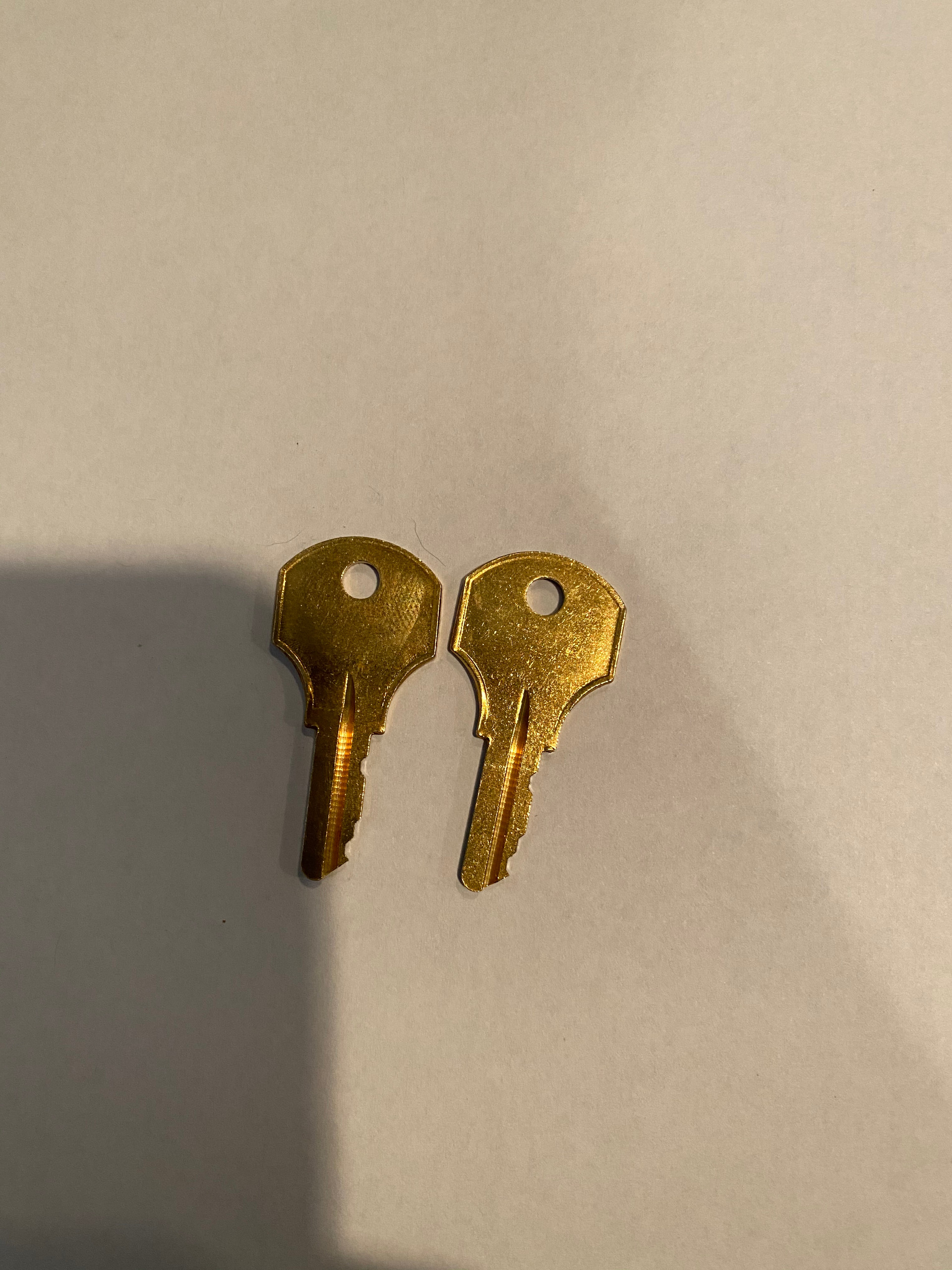 2 CAT 60 Keys for Gamewell Fire Alarms - Fire Parts Liquidators LLC