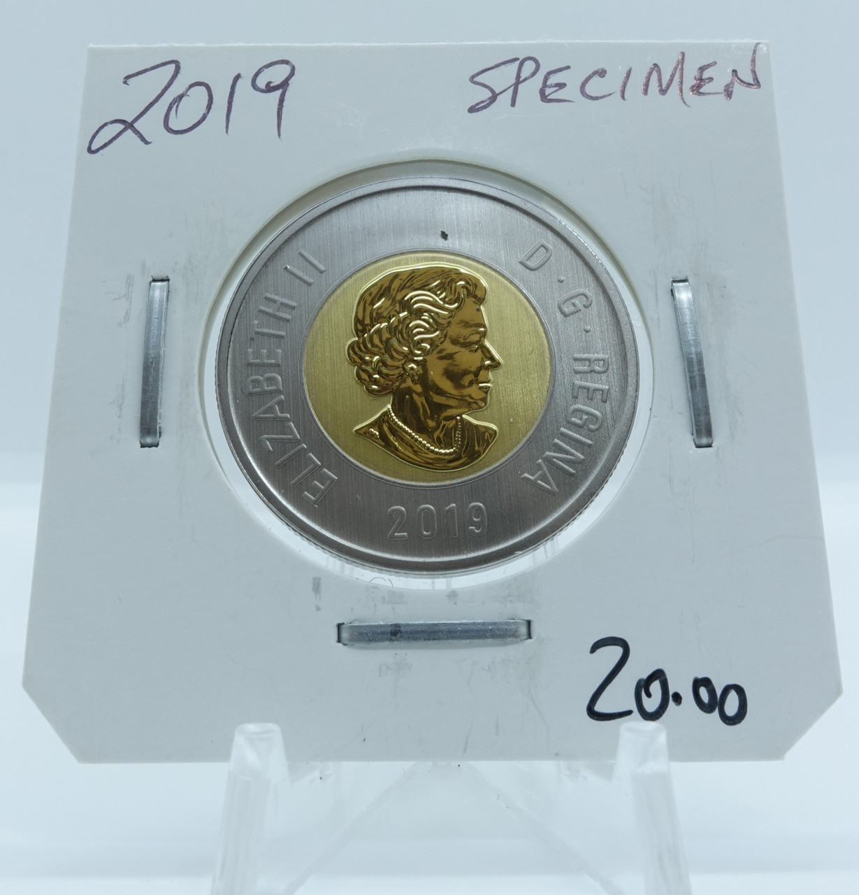 2019 CIRCULATION CANADIAN TOONIE SPECIMEN - West Edmonton Coin & Stamp