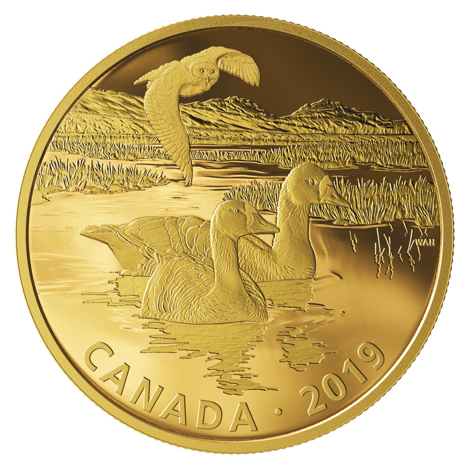2019 Royal Canadian Mint Coins