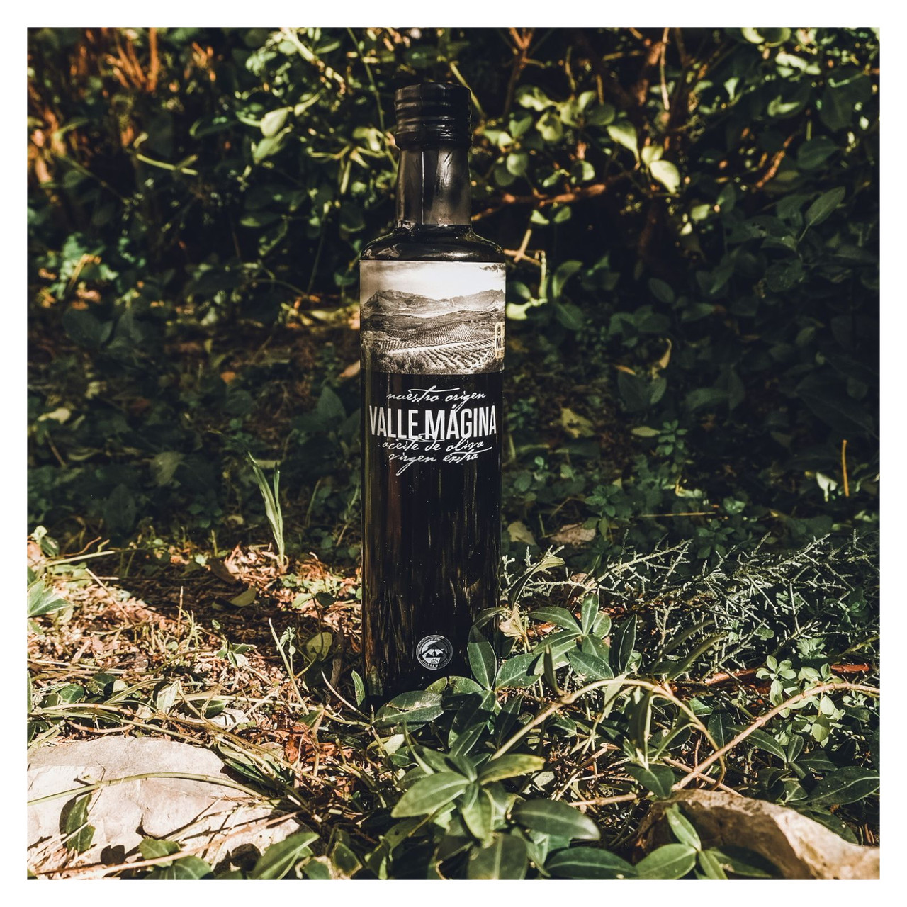 Valle Magina Extra Virgin Olive Oil 500ml - The Cheese Shop Pte. Ltd.