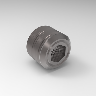 Rosemount™ Vent Screen, 1/4-18 NPT, 316 Stainless Steel - Danfoss ...