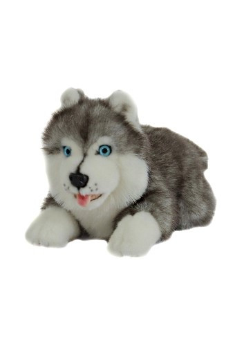 "Marbles" Husky Puppy 28cm Floppy - Skinnys Australia
