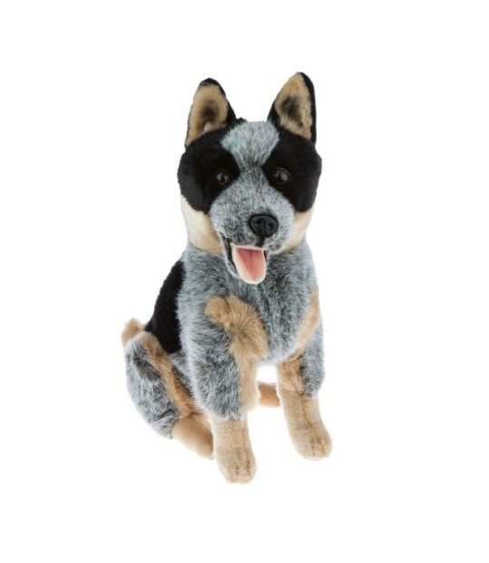 "Marshall" Cattle Dog 30cm Sitting - Skinnys Australia