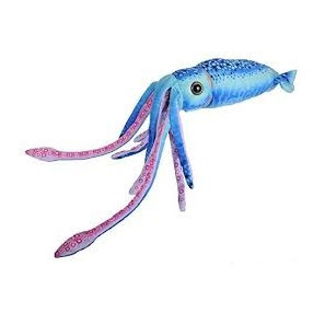 Blue Squid 12" - Skinnys Australia