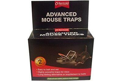 rentokil advanced mouse traps