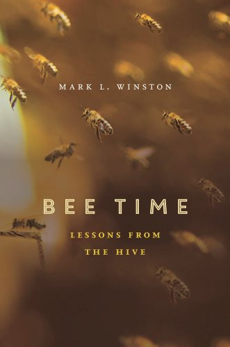 Bee Time: Lessons from the Hive - megabookshelf