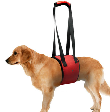 Red Dog Hoist Harness - Doggie Style Store