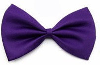Dark Purple Dog Dicky Bow Tie - Doggie Style Store