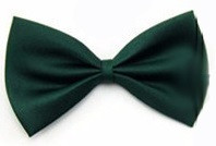 Dark Green Dog Dicky Bow Tie - Doggie Style Store