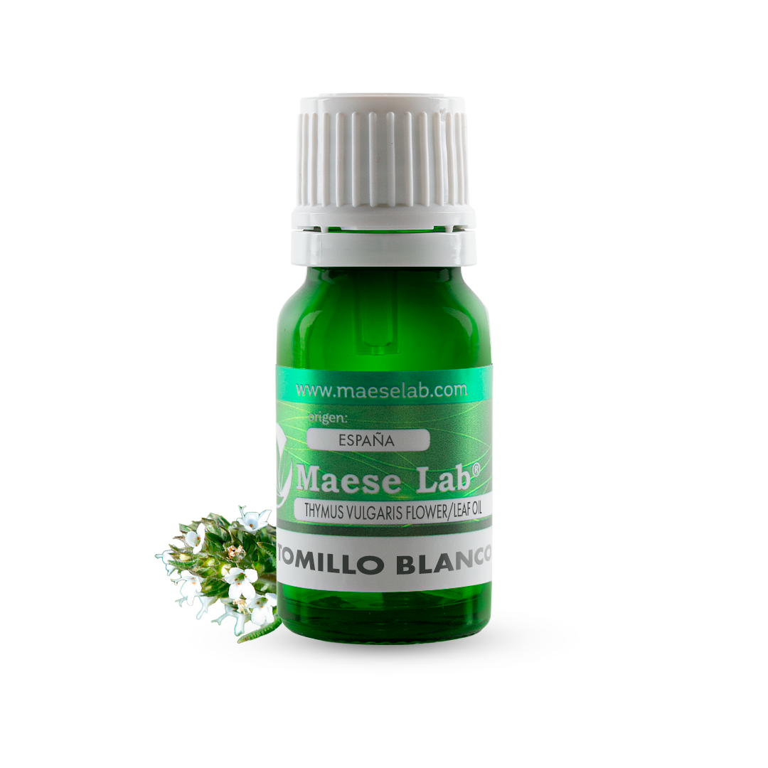 Aceite esencial de tomillo blanco | Maese Lab