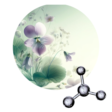 Florhydral | Maese Lab