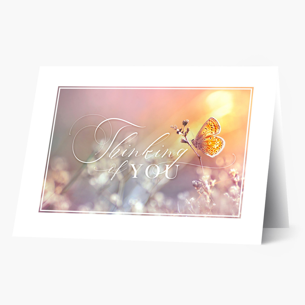 Soft Thoughts - Cards For Causes Soft Thoughts - Cards For Causes