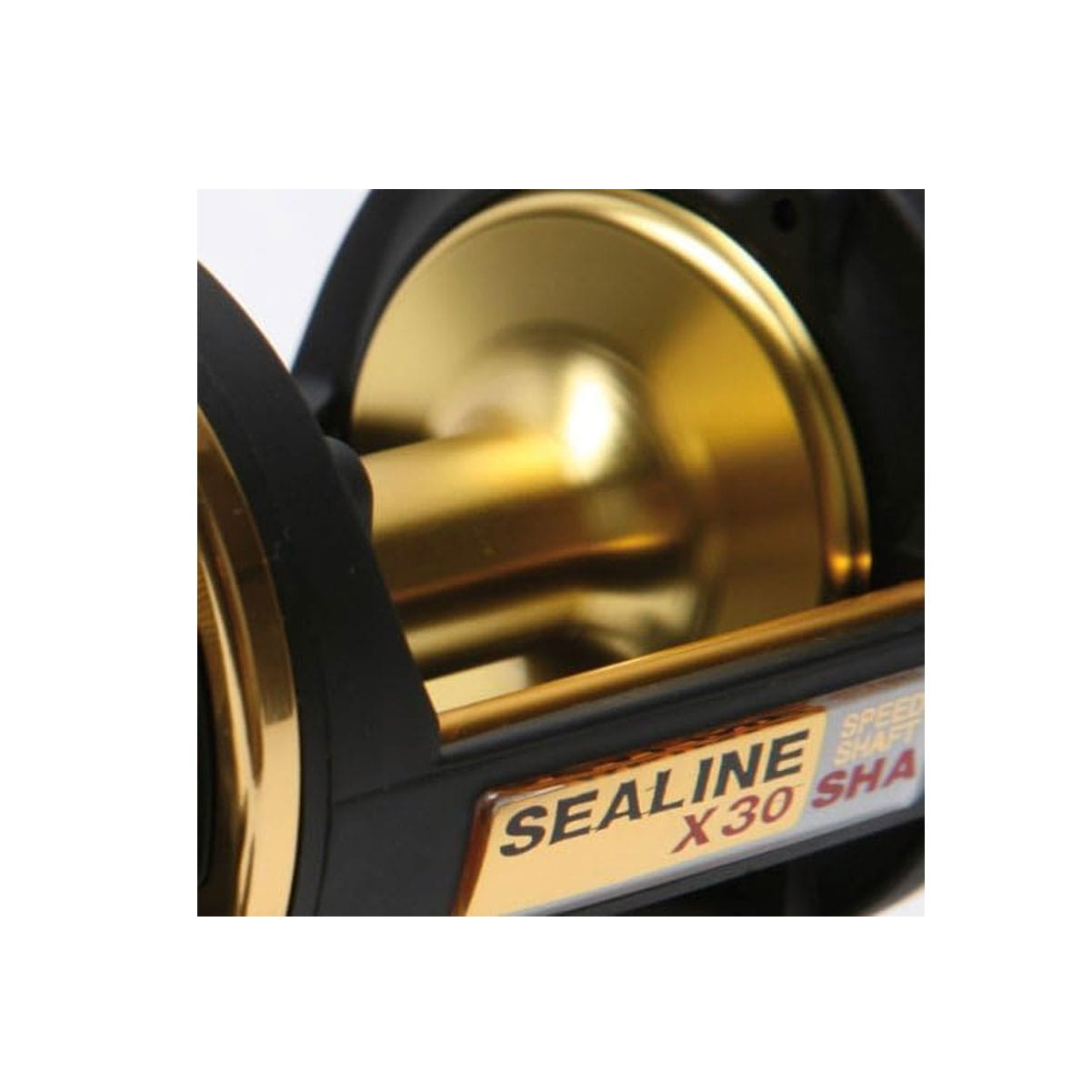 DAIWA Sealine-X SHA Conventional Reel Size