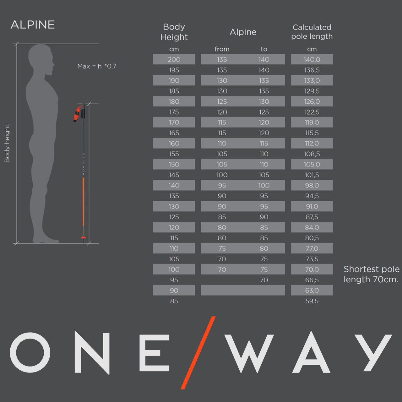 ONE WAY GT 18 Alpine Ski Poles