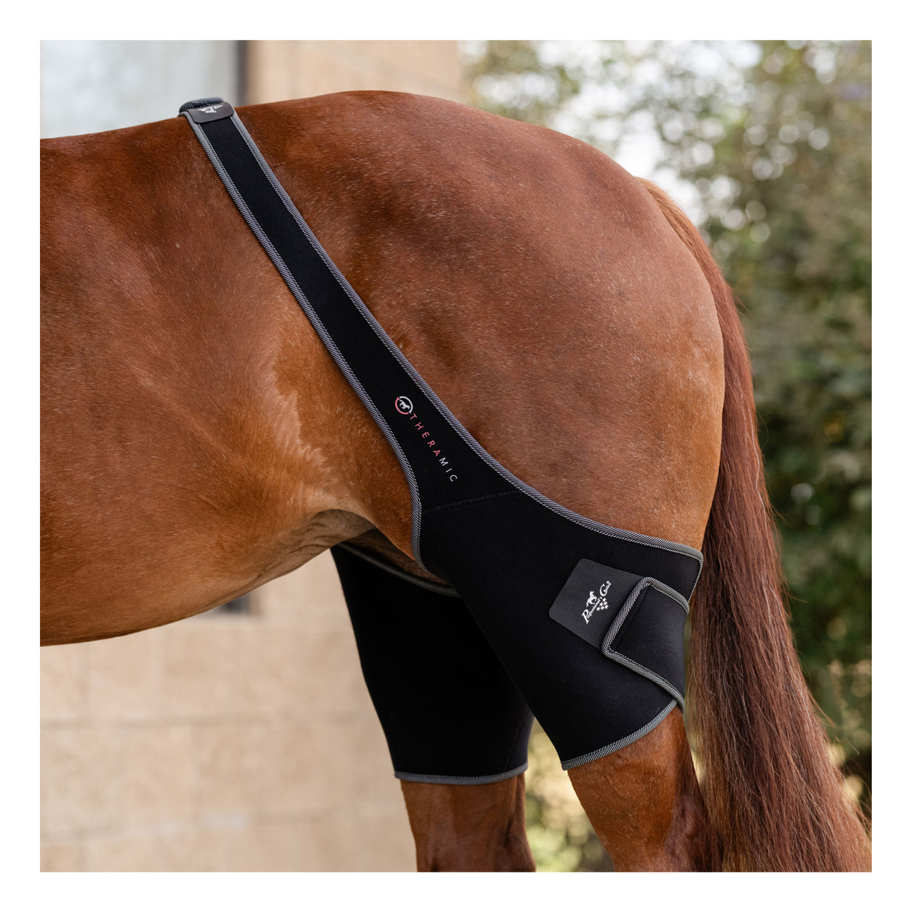 PROFESSIONAL CHOICE Theramic Stifle Wrap PCTSW