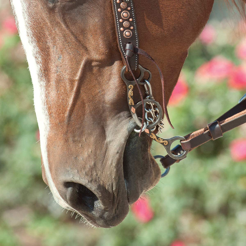 CLASSIC EQUINE Short Shank Twisted Bit BBIT3SSG22SS