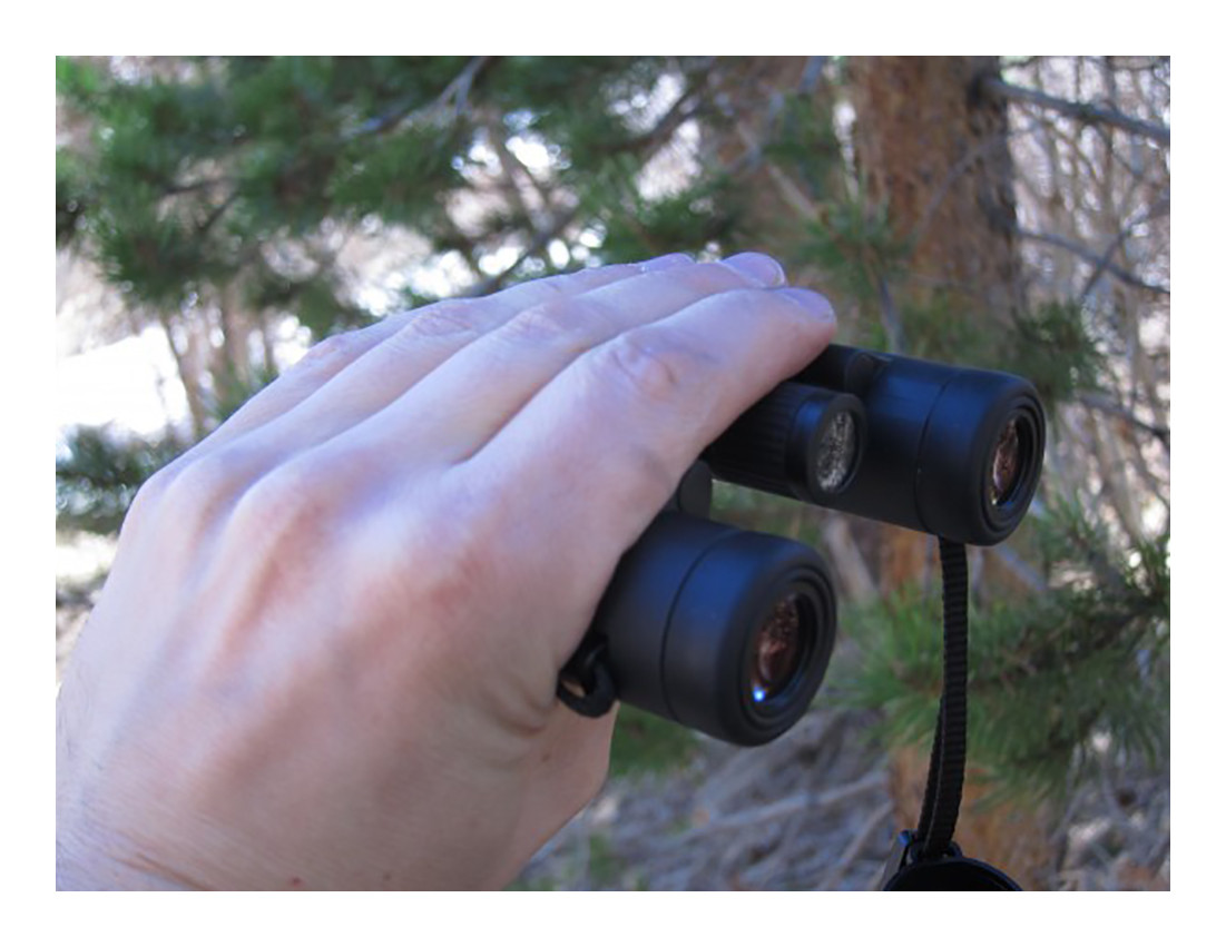 Leica Ultravid BR 10x25mm Binocular 40253