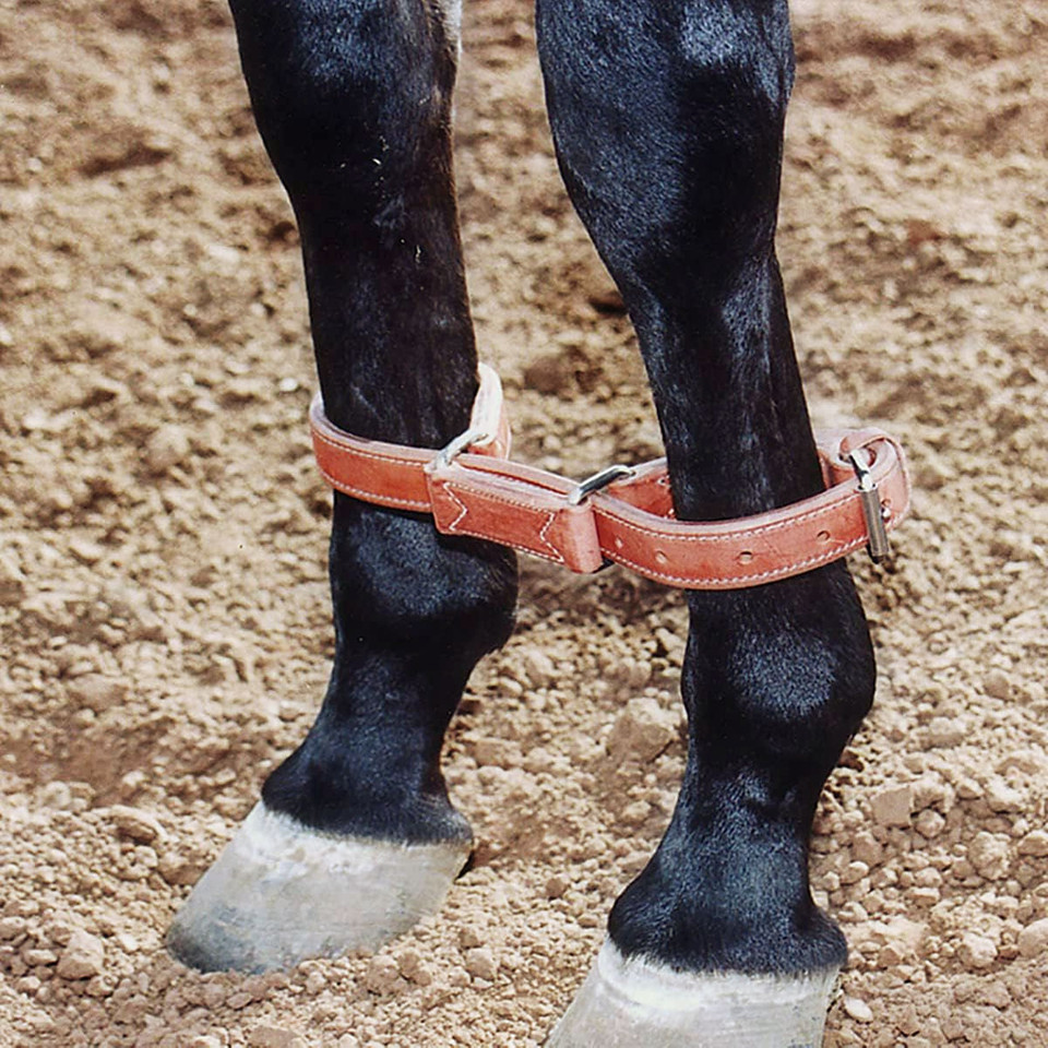 MARTIN SADDLERY Double Stitched Harness Hobbles HARNHOB