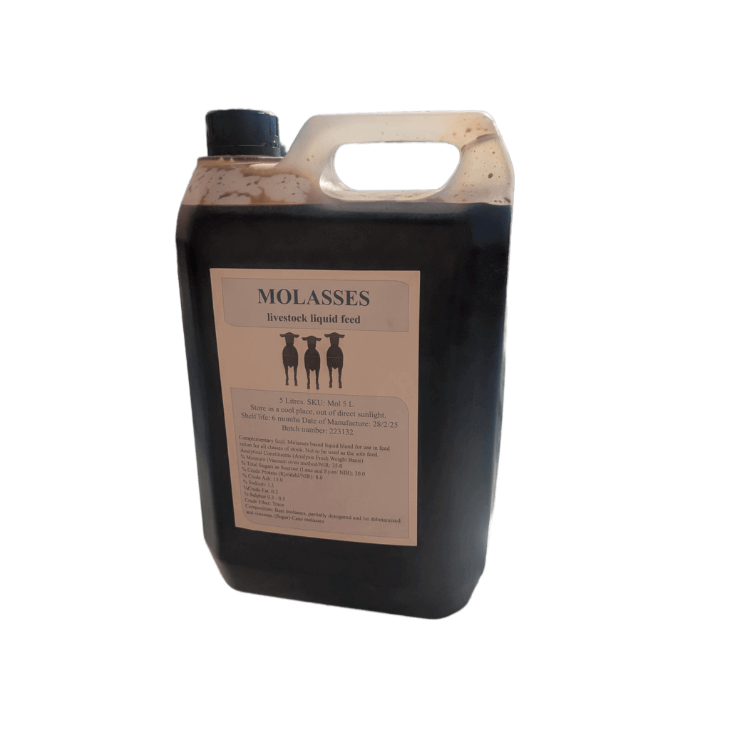 Molasses