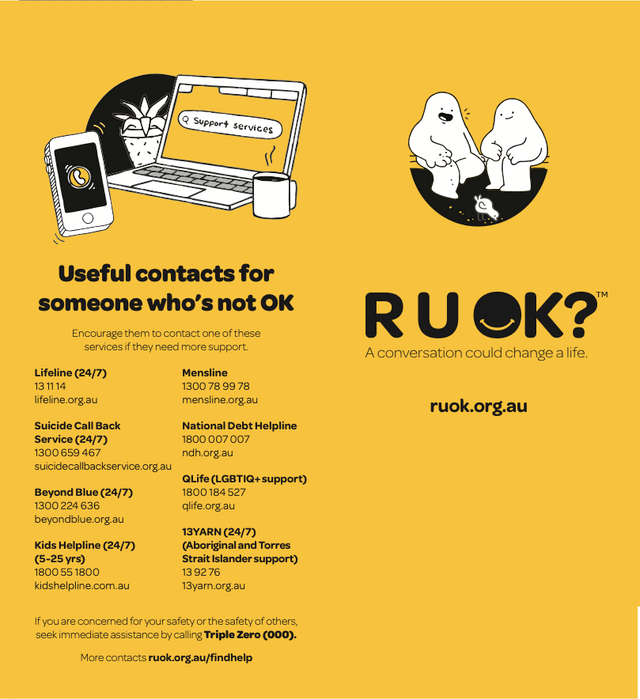 A Quick Guide to Asking DL Pamphlet (Pack of 10) - R U OK? Merchandise