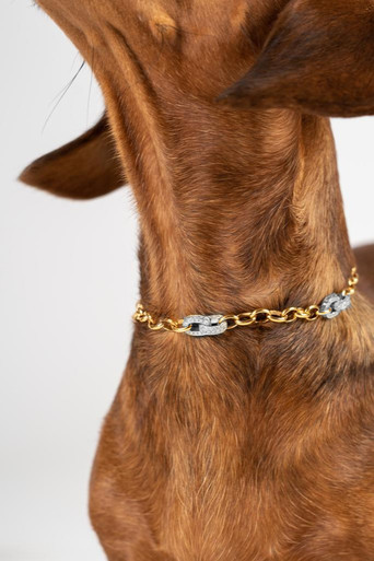 Gold Plate Sterling Silver Dog Collar Leash with Cubic Zirconium 52 ...
