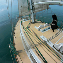 Stay Safe at Sea With a Custom Jackline System - Sailrite