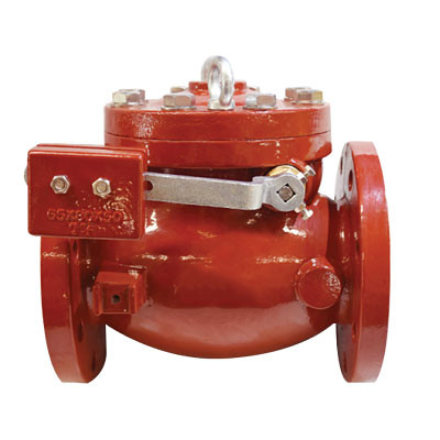 AWWA C508 Swing Check Valves - 4 in.