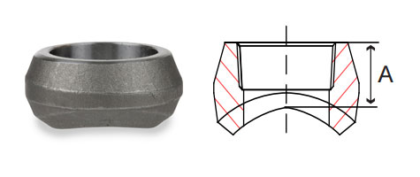 Pipe Fittings - 3000# Socket Weld Outlets - 1" x 3" thru 36"