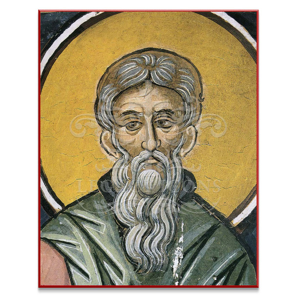 Icon of Saint Theodore the Trichinas (Hair-Shirt Wearer) | Museum ...