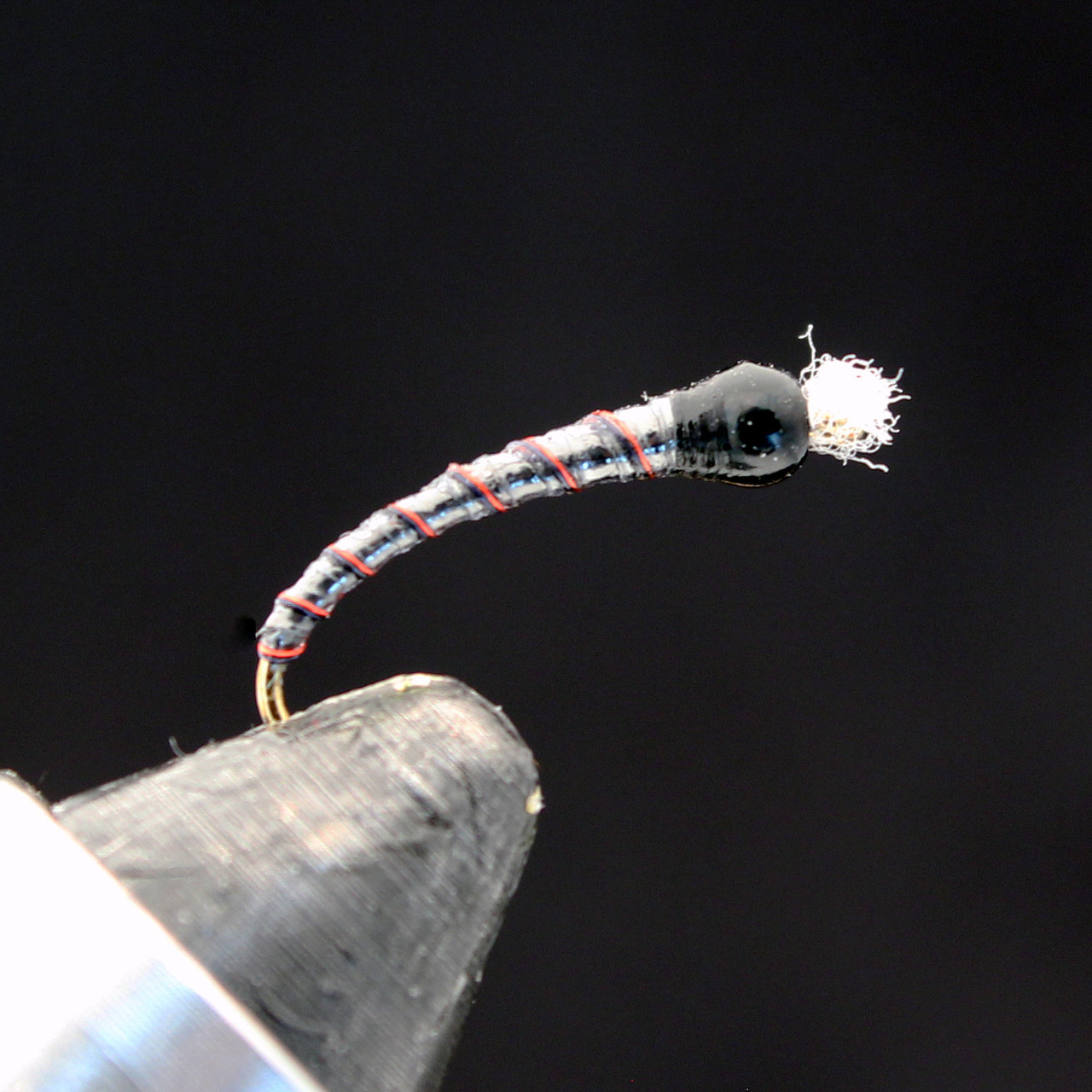 ASB Chironomid Pupa